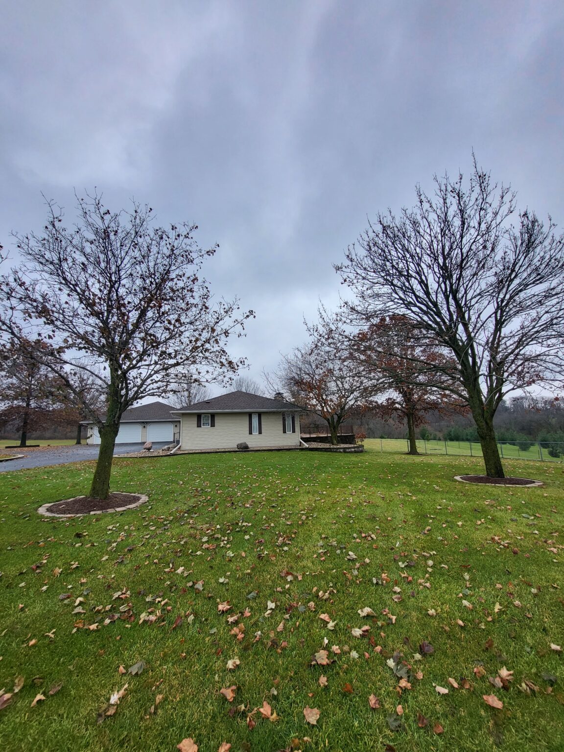 FORMHALS – January 13, 2024 Photos – Folger's Auction Service