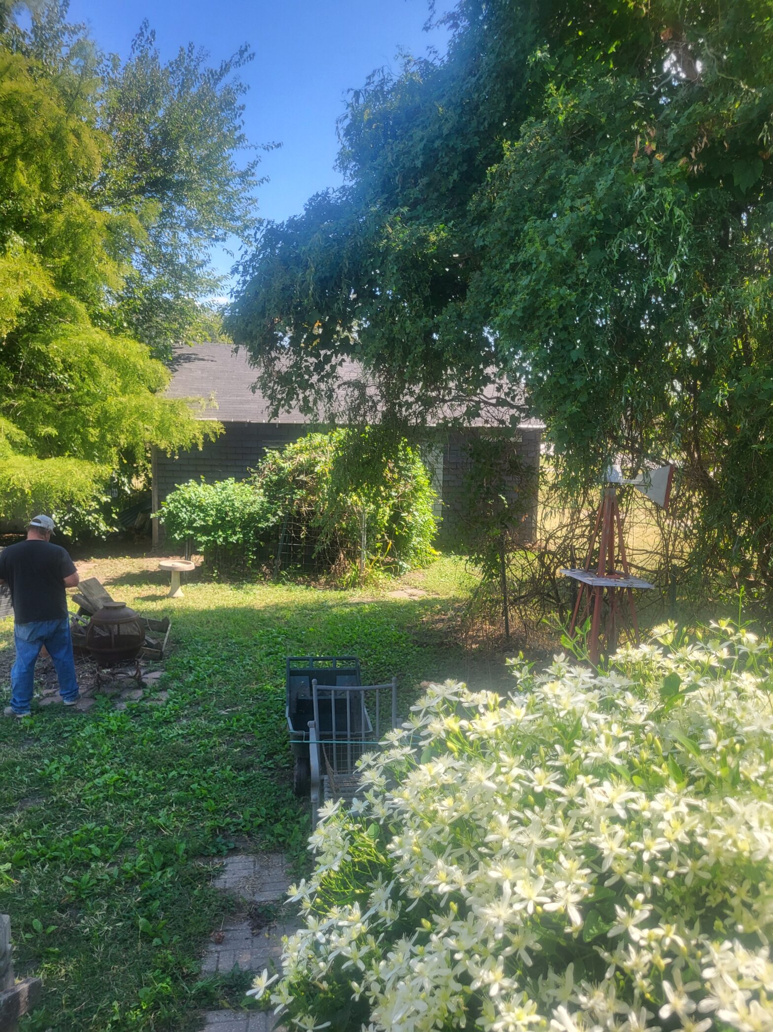 STODGEL ESTATE – OCTOBER 26, 2025 PHOTOS – Folger's Auction Service